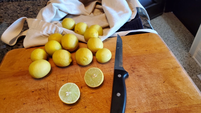 Shared post - Key lime season in Florida!