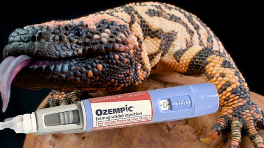 Shared post - Ozempic Is Made From Gila Monster Venom.... What Could Go ...